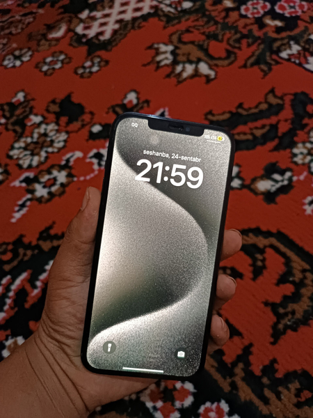 Iphone 12pro Max
