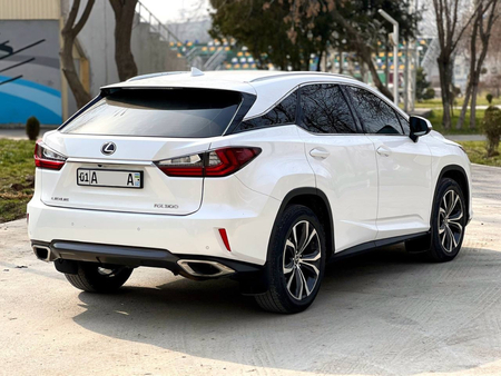 Lexus RX300 Luxury 2019 год