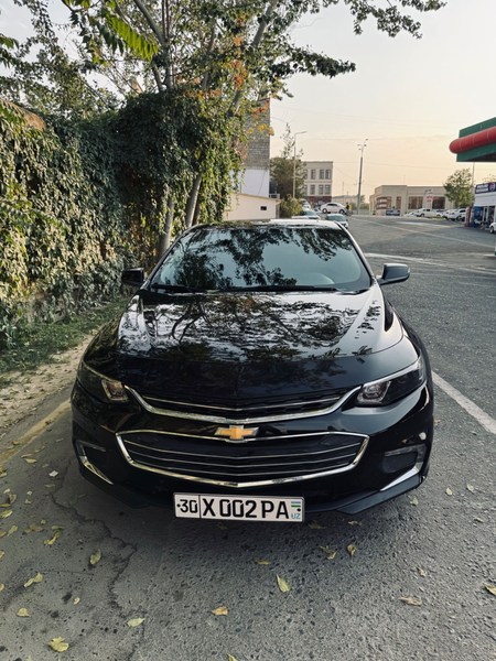 Malibu 2 2018 Top Tozza!