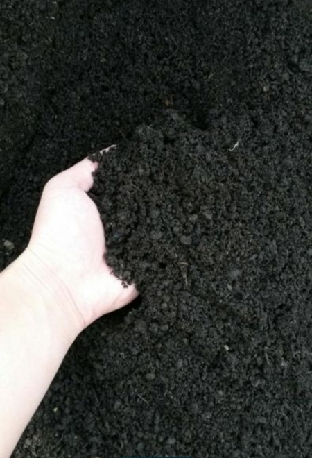 Kaliforniya qizil chuvalchangi va biogumus