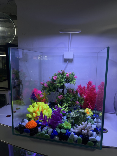 Akvarium Kub Hi Tech