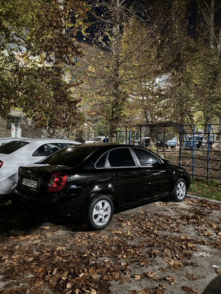 Rent a car / Avtoprokat / bez km