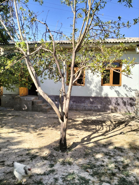 Toshkent tumani general 2 sotok 2 xona