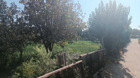 Srochno Термиз шахар Партизанда  yer sotiladi