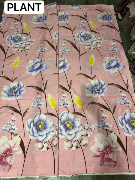 Plant Bambuk xitoy