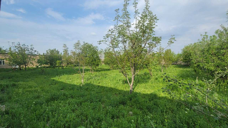 №  1101  земельный участок в районе Чархин