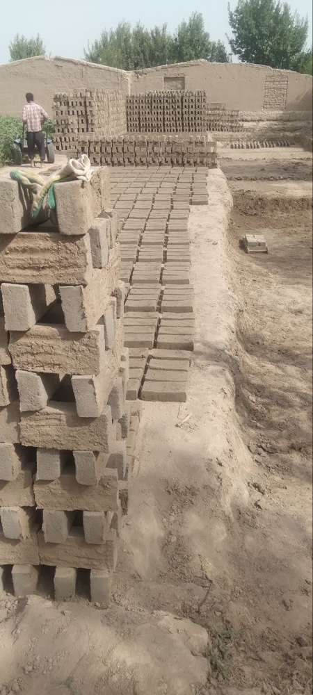 450 sum gishtlar