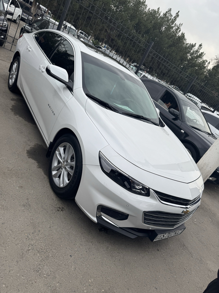 Malibu 2.4 atmasferni kraska toza