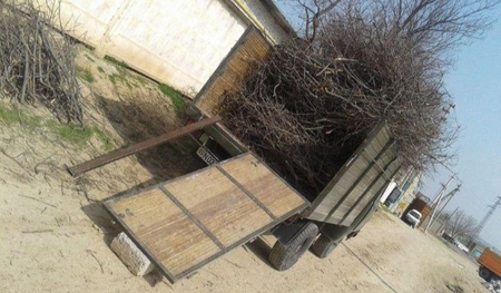 Дарахт кесиш хизмати вывоз веток, досок. Обрезка дерево