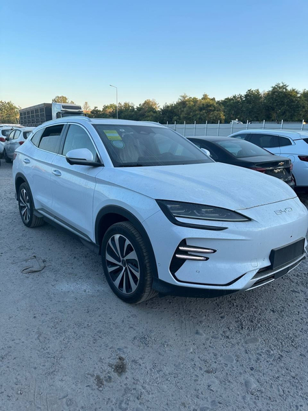 BYD chempion  2024