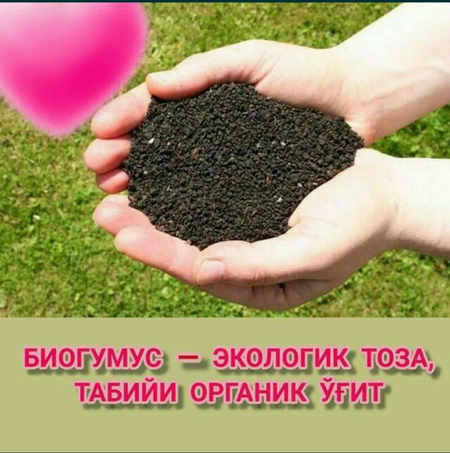 Chuvalchang . biogomis