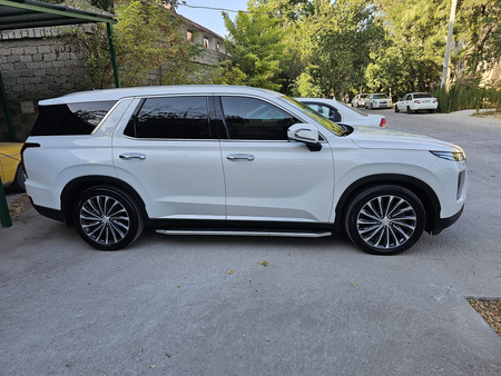 Hyundai Palisade.
