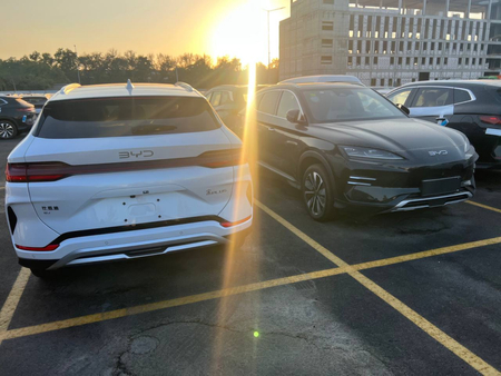 Byd song champion 2025 qora va oq