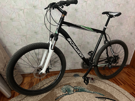 Schwinn Mesa Sport