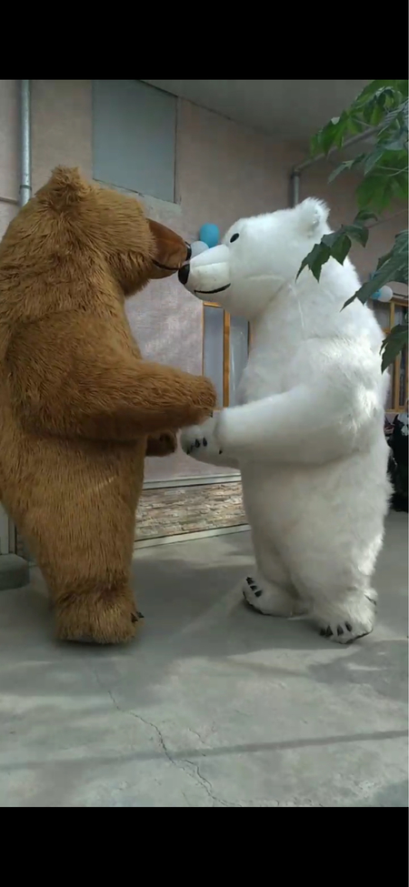 Animator ayiqlar multik qahramonlar