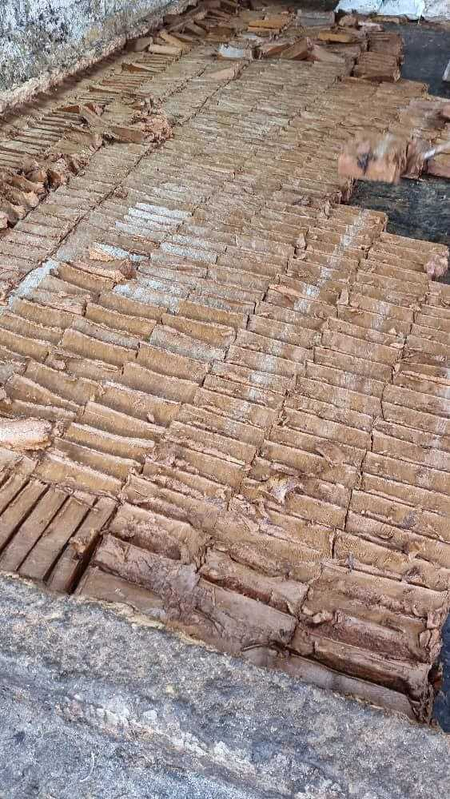 Paxta nafi bor narxini kelishamiz