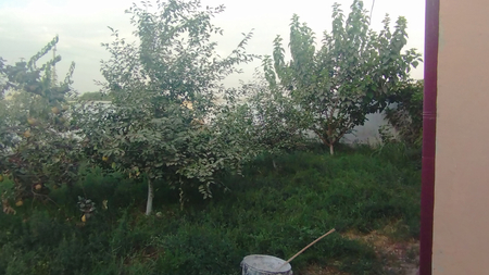 Denov tumani Hazarbogʻ SIU 2-boʻlimda joylashgan 4 xonali barcha qulay