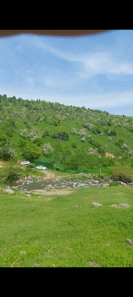 Sayohatlar uchun moshina xizmati