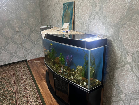 Аквариум продаётся
