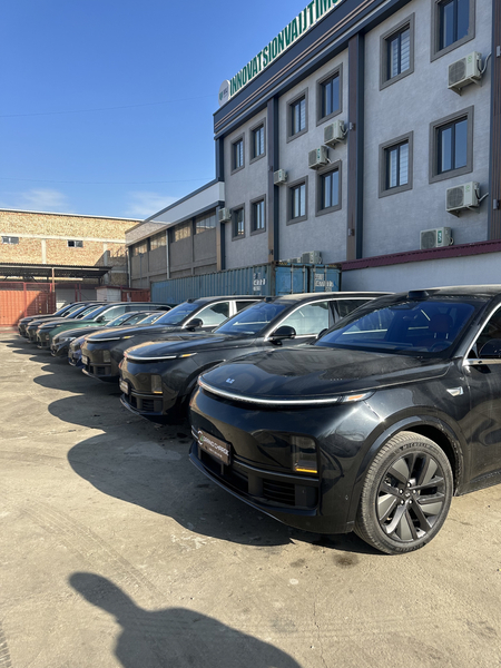 Li9 lixiang l9 max