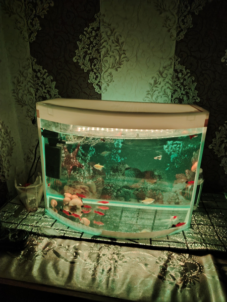 Yangi akvarium 40Litr komplekt