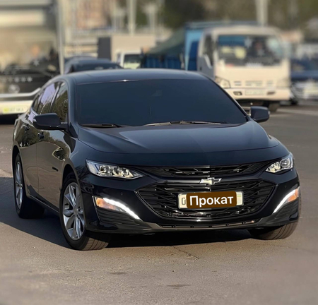 Rent car avto prokat