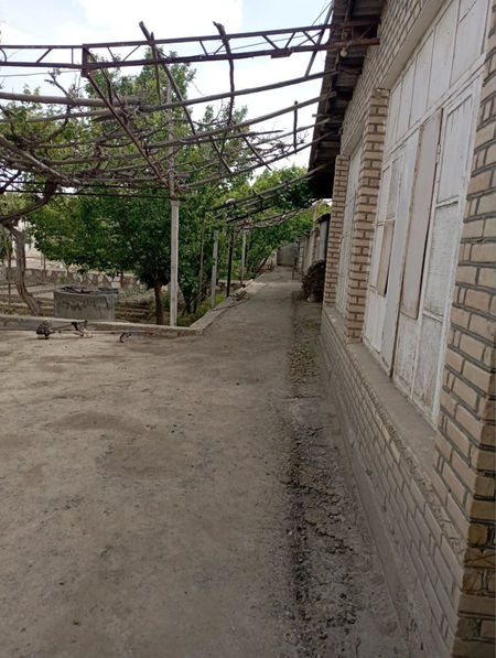 Hovli sotiladii.