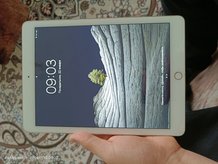 iPad air 2 wifi 16gb