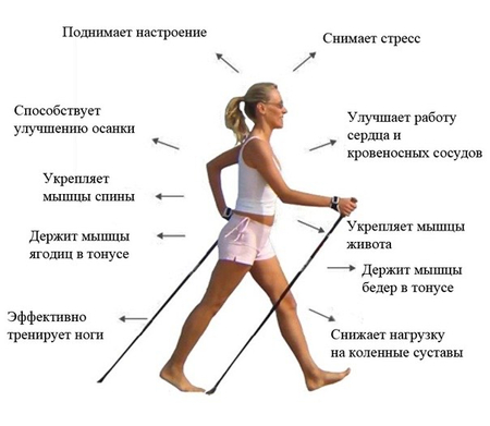 Скандинавская палка для ходьбы
