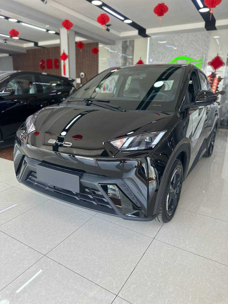 BYD Seagull qora nalichida yili 2024