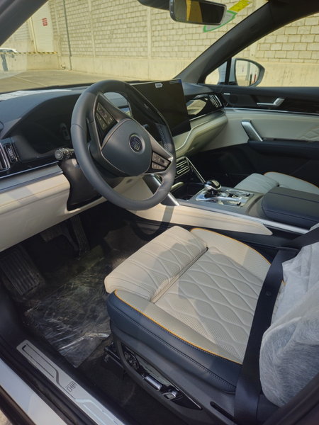 BYD Tang 600km, 6 kishilik