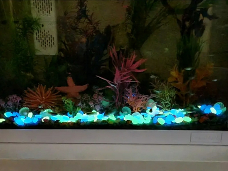 Akvarium uchun fosforli toshlar sotiladi