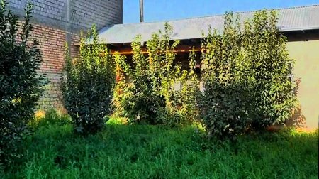 Yer sotiladi manzil marjon restorant röparasi