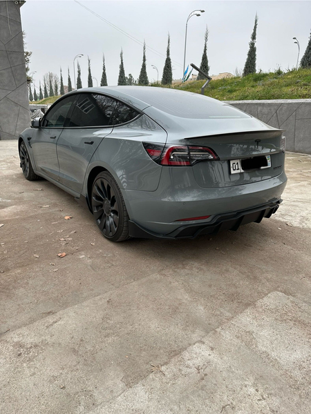 Tesla Model 3 Performance