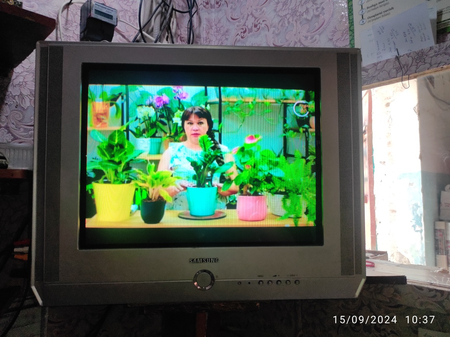 LG va Tuner T2 telvizor xolati ideal telvizor pulit yoq ikkisni xamVa