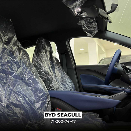 BYD Seagull full aksiya shoshing