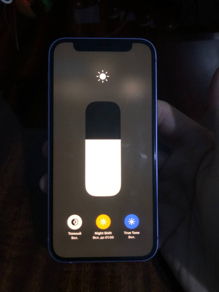 iPhone 12 mini ideal