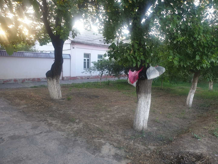 Продается 5 соток в Домбрабоде ! (157348)