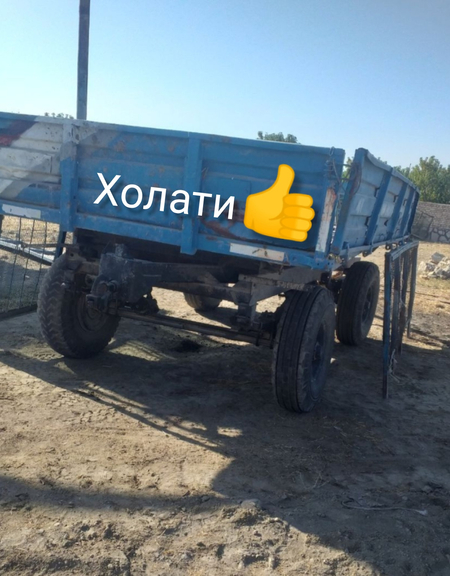 тиличка сотилади сеткалик