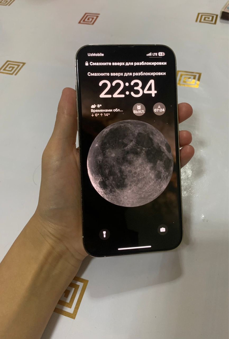 iPhone 13 pro max