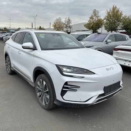 BYD Chempion (2025 Restling)