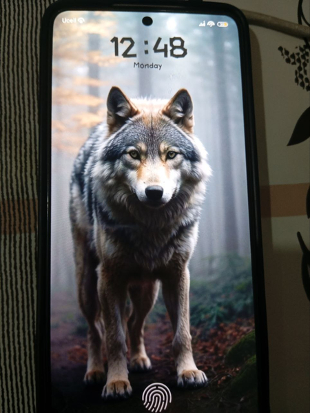 Xiaomi 12Lite ultra