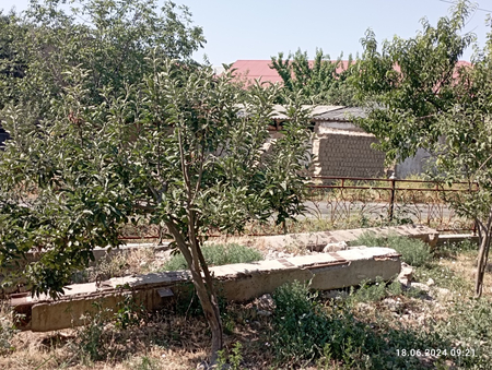 Biton stalba 2 ta