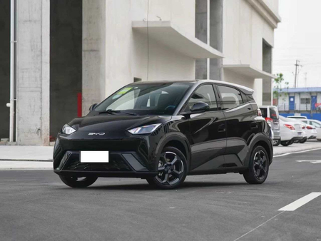 Byd seagull arenda s vikupom godovoy 10%