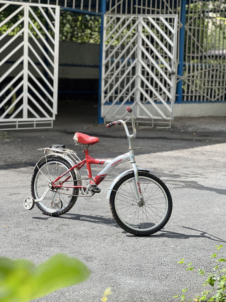 Velosiped r26 r20