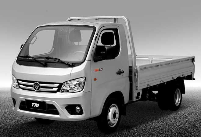 Foton Truck Mate I (D1)