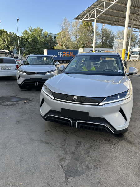 Byd Yuan Up dop opsiya 401km