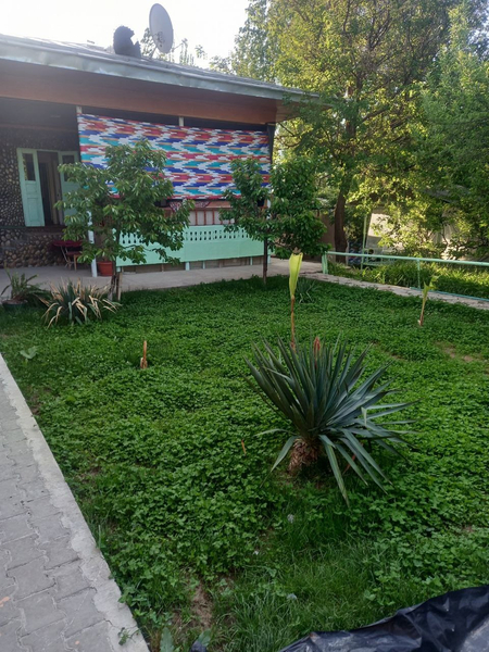 Dacha arenda parkent tumani navbahor qfy