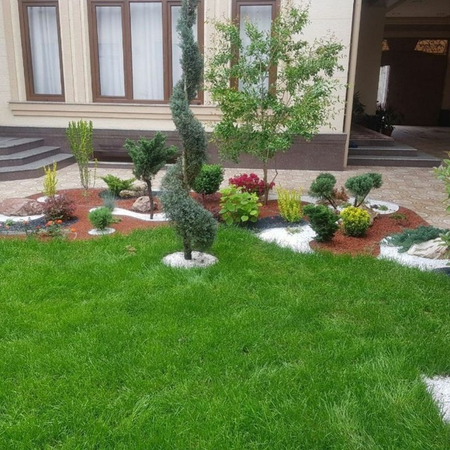 Yevro gazon ekamiz va urugidan sepamiz ishonchli sipatli garantayali