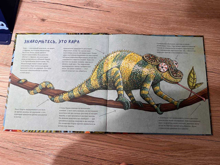 Книга Самый смелый хамелеон, издательство clever